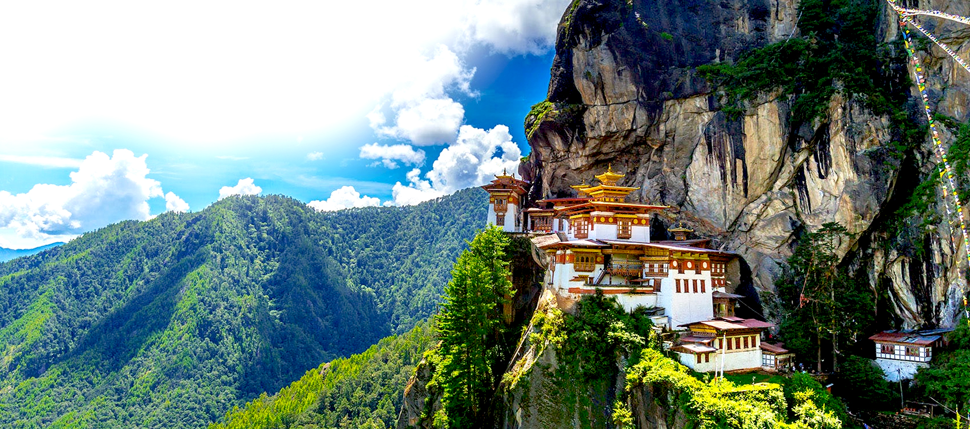 India’s Leading Inbound Travel Tour Operator | Travel Your Journey to India