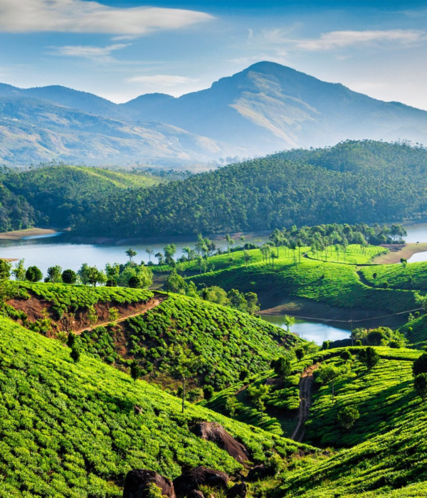 All Tour Packages - Indian Journey